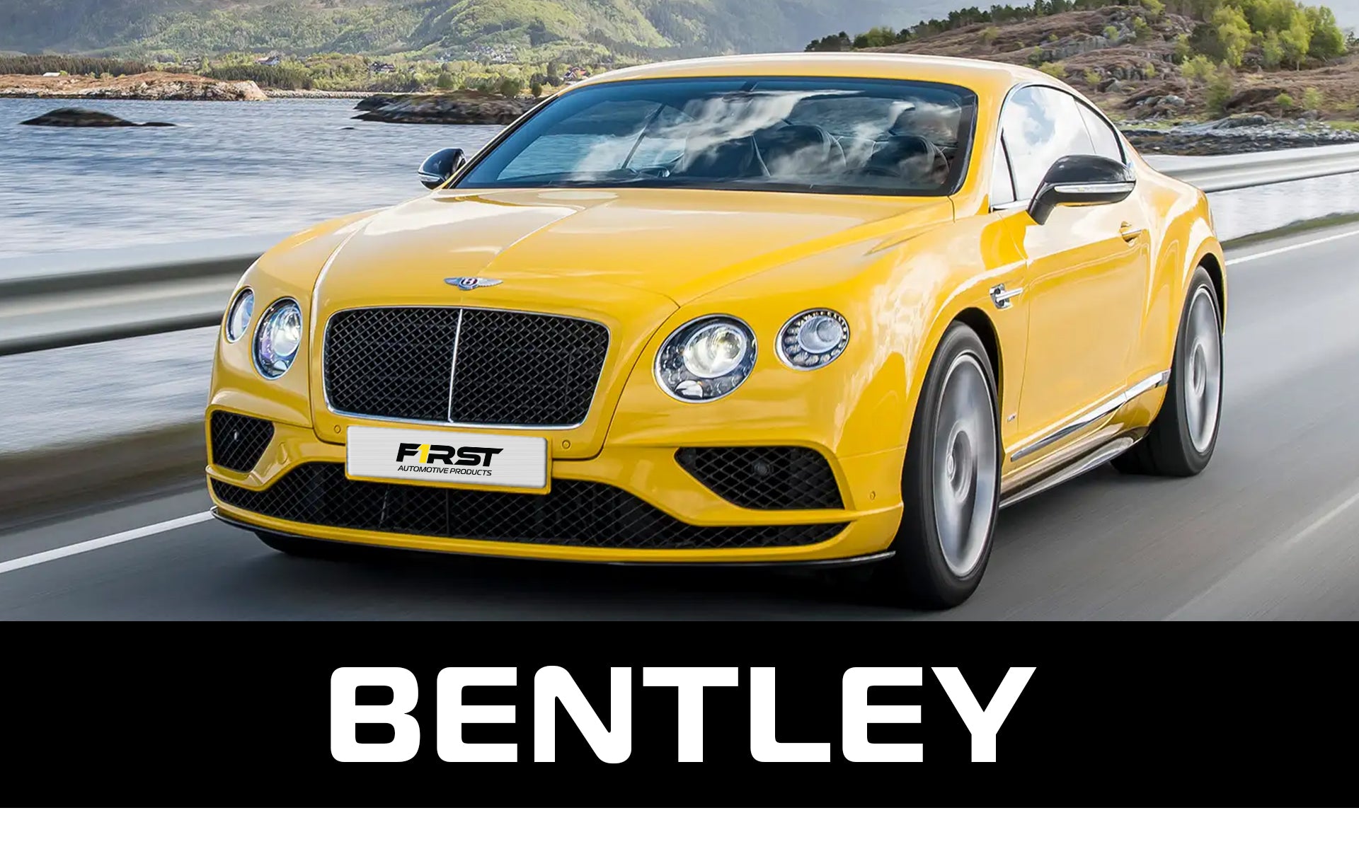 BENTLEY INTERFACES